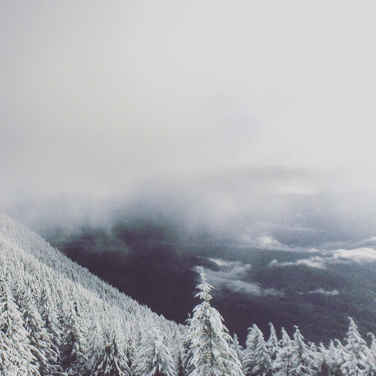 Welcome Back Pacific Northwest Winter – This is My Northwest