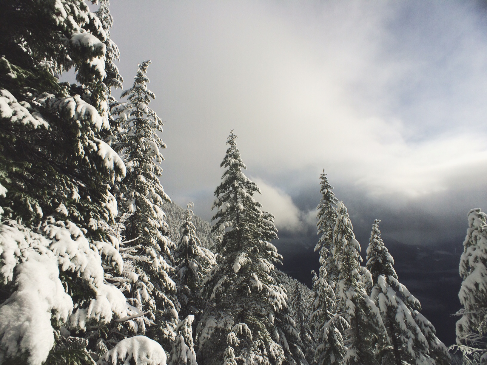 Welcome Back Pacific Northwest Winter – This is My Northwest
