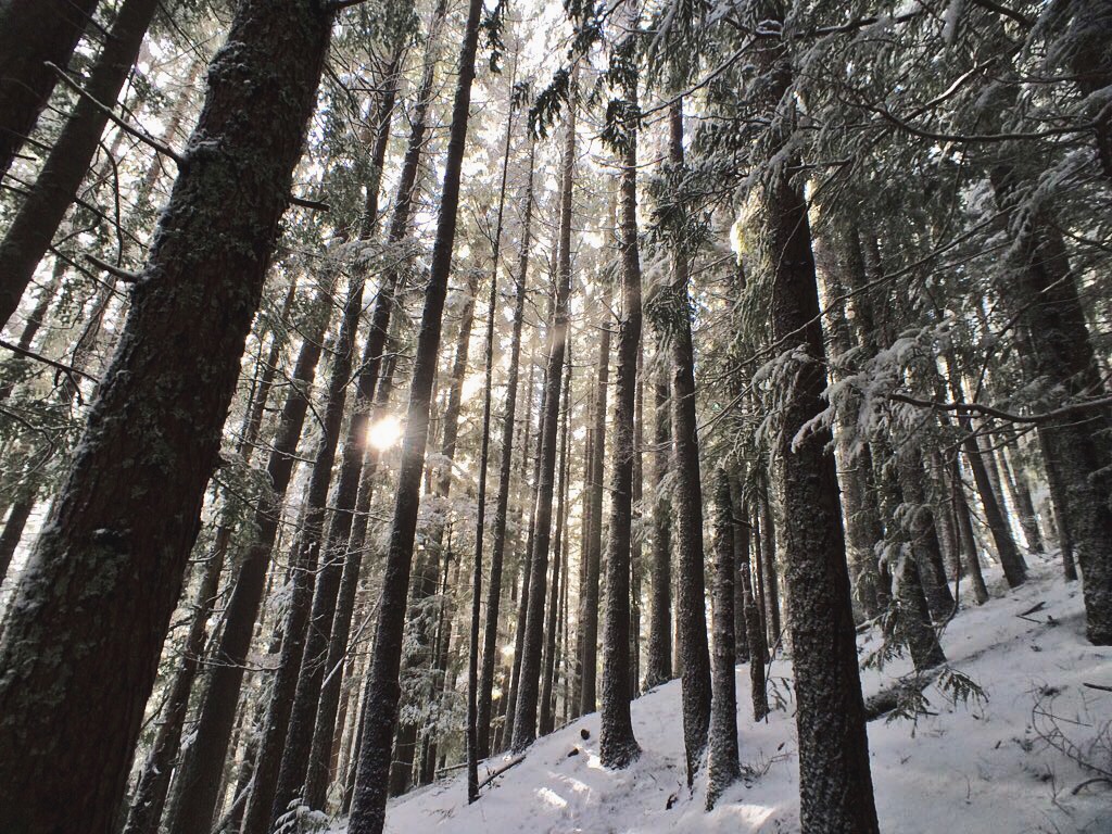 Welcome Back Pacific Northwest Winter – This is My Northwest