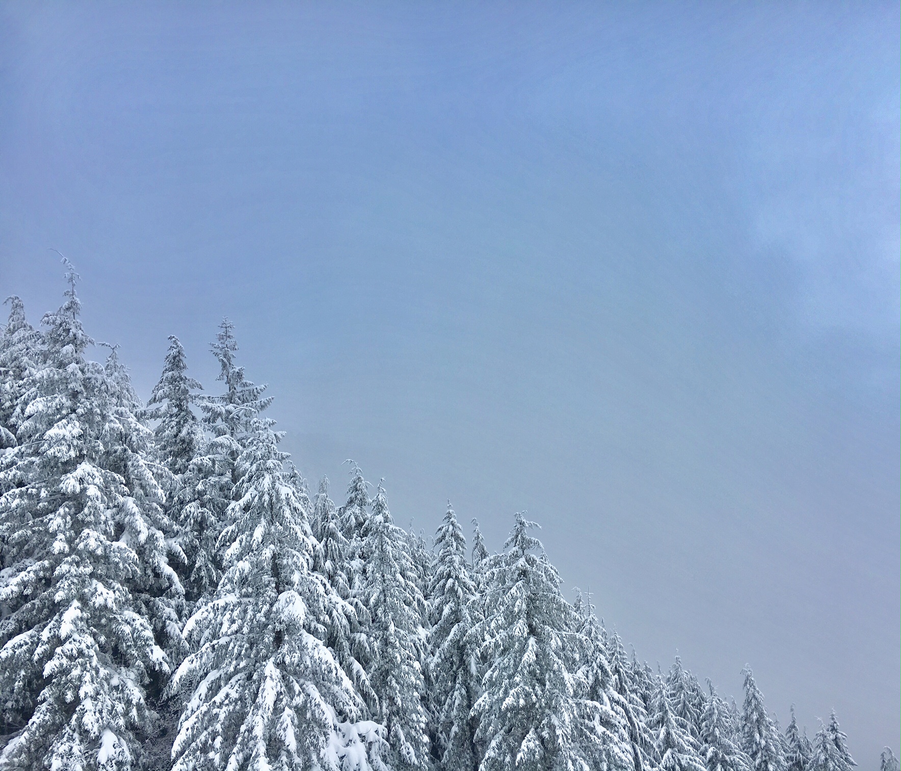 PNW Weekend Winter Adventures – This is My Northwest